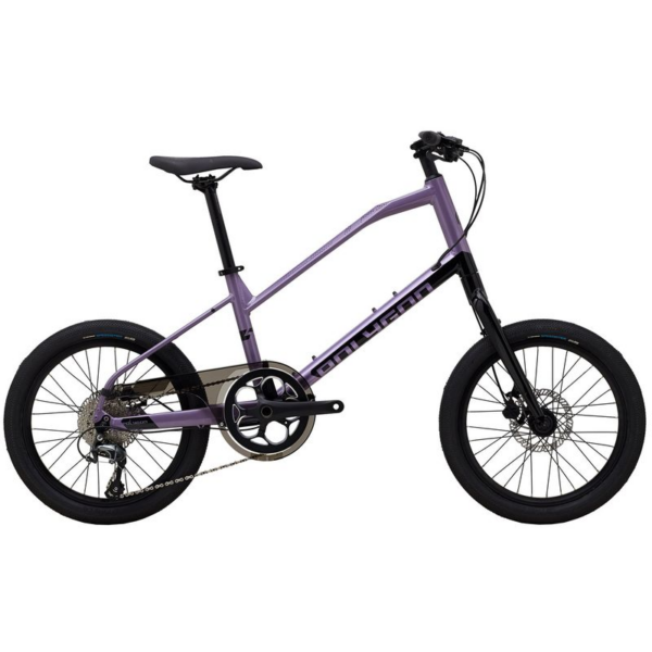 2021 Polygon Zeta 2 electric bike conversion - Converted | Makes your ...